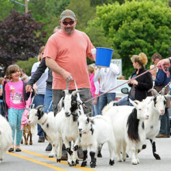 Annual Roofing of the Goats Parade & Goat Fest – Door County Today