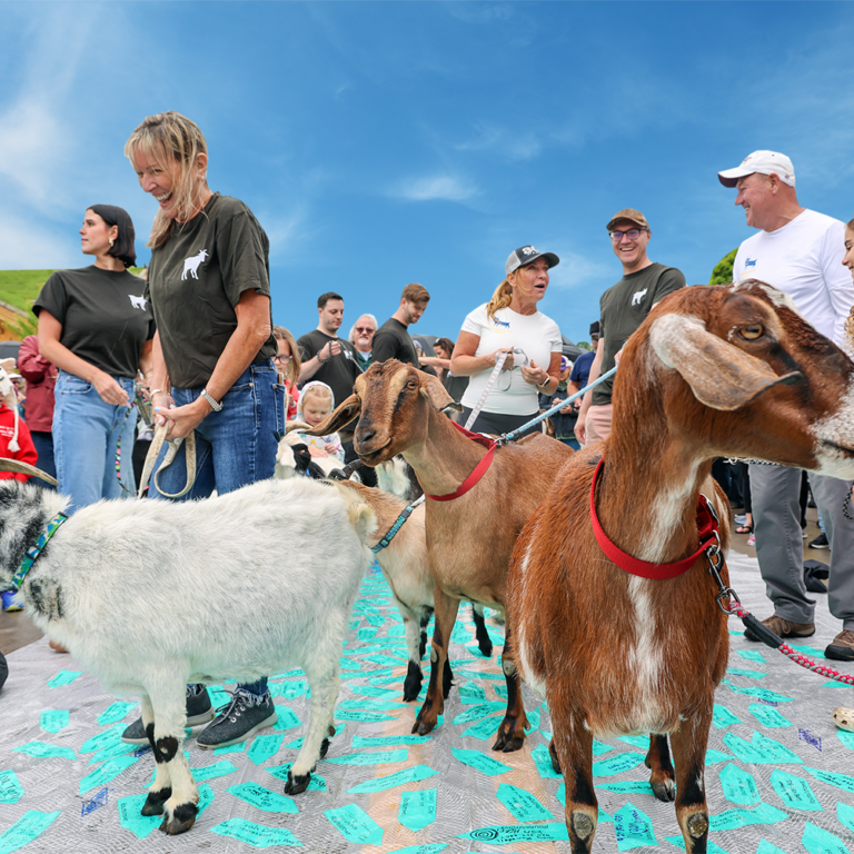 Sister Bay’s 11th Annual “Roofing of the Goats Parade” Scheduled for ...