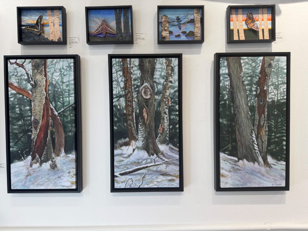 Turtle Ridge Gallery: Celebrate Trees – Door County Today