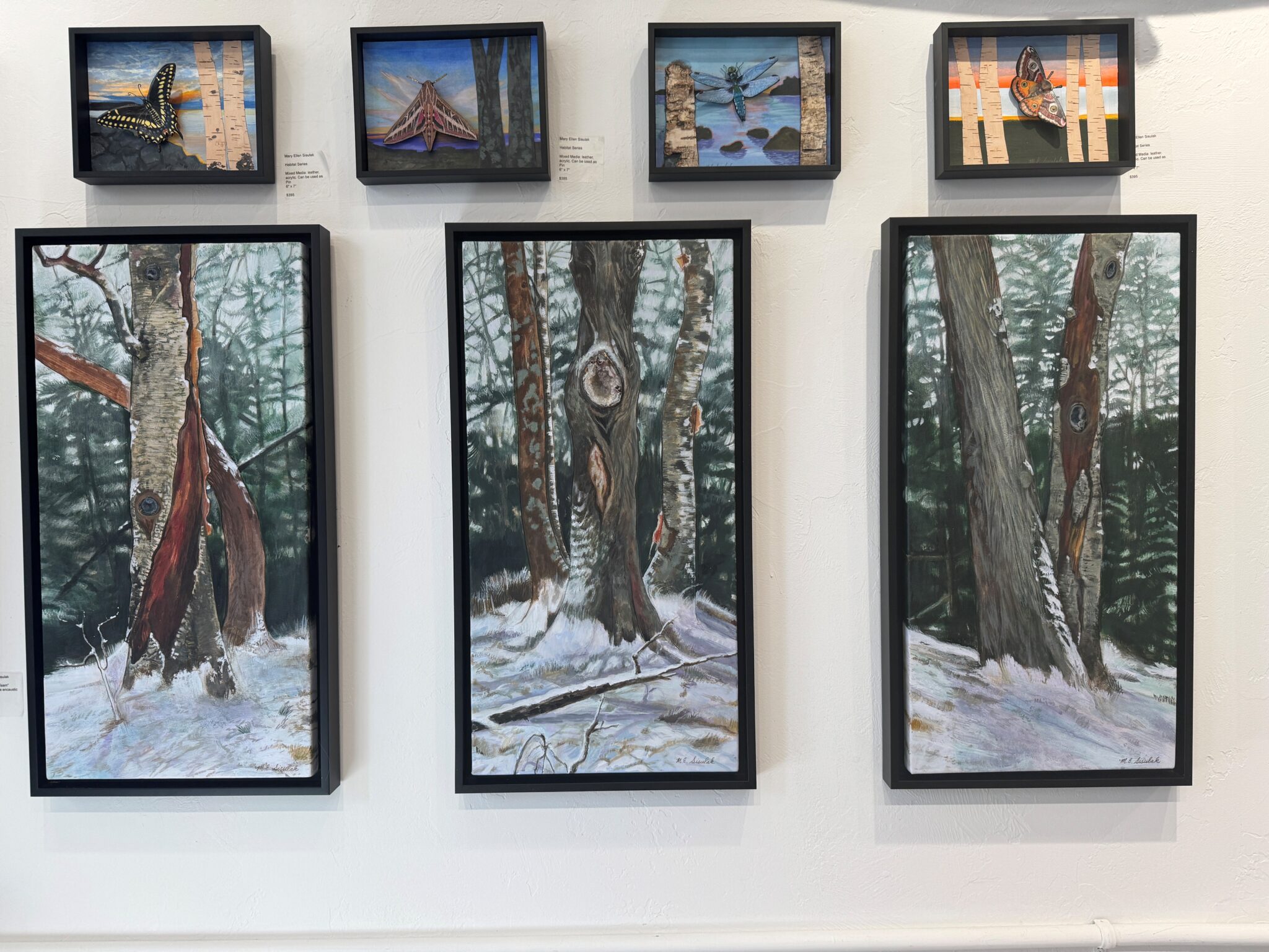 Turtle Ridge Gallery: Celebrate Trees – Door County Today