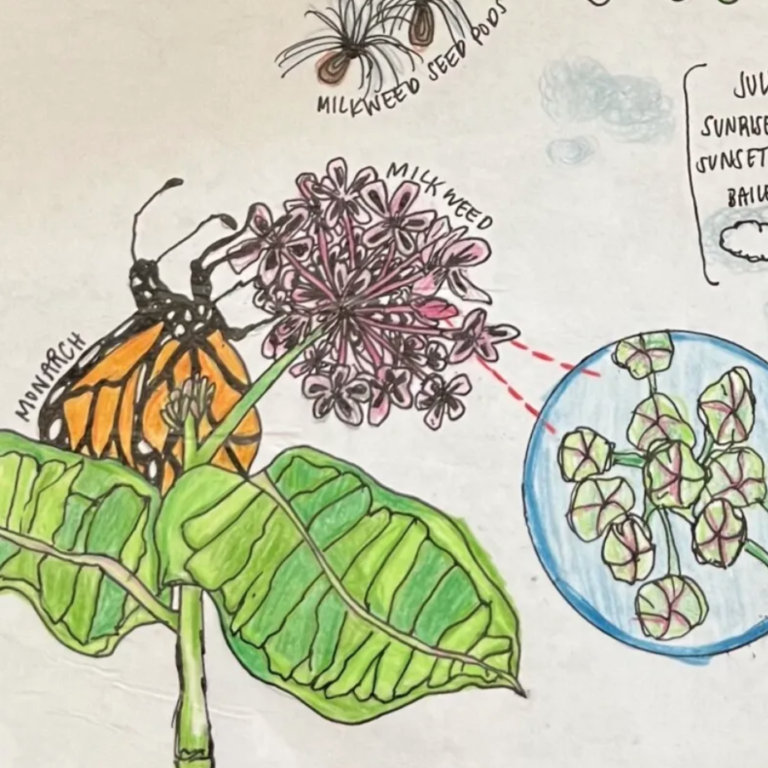 Nature Notes: Documenting the Natural World – Door County Today