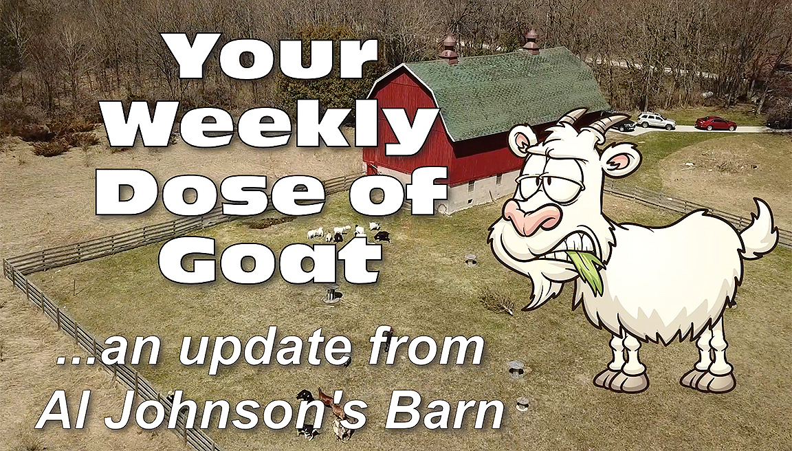 Al Johnson’s Launches Weekly Video Series About Its Famous Goats – Door ...