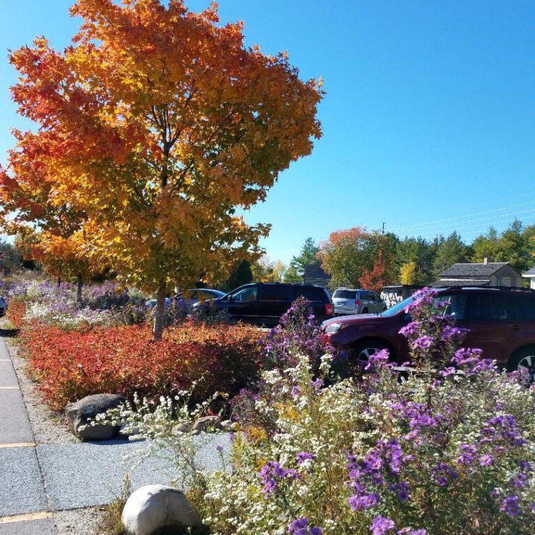 Birds and Bees, Flowers and Trees at Crossroads this Week – Door County ...